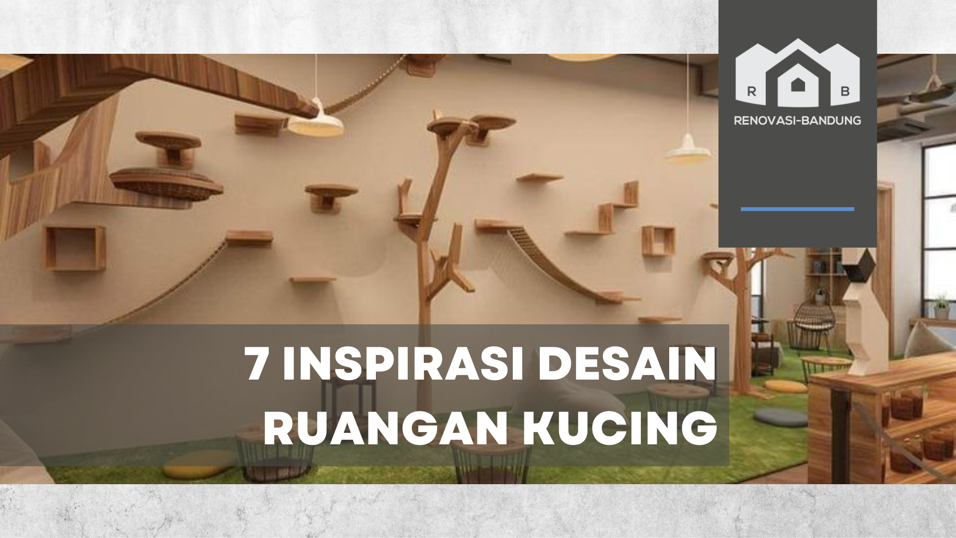7 Inspirasi Desain Ruangan Kucing – Renovasi Bandung