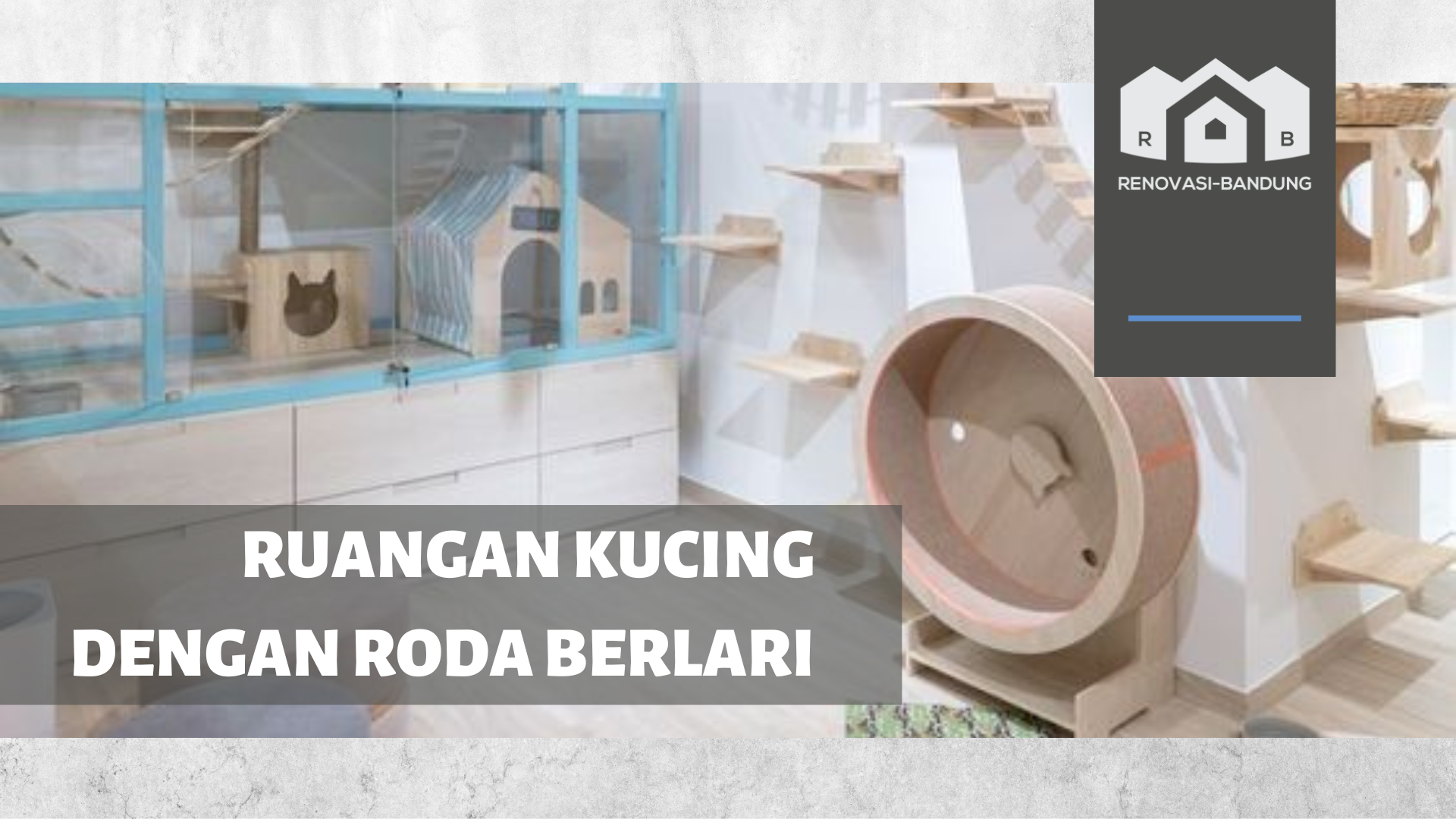 7 Inspirasi Desain Ruangan Kucing – Renovasi Bandung