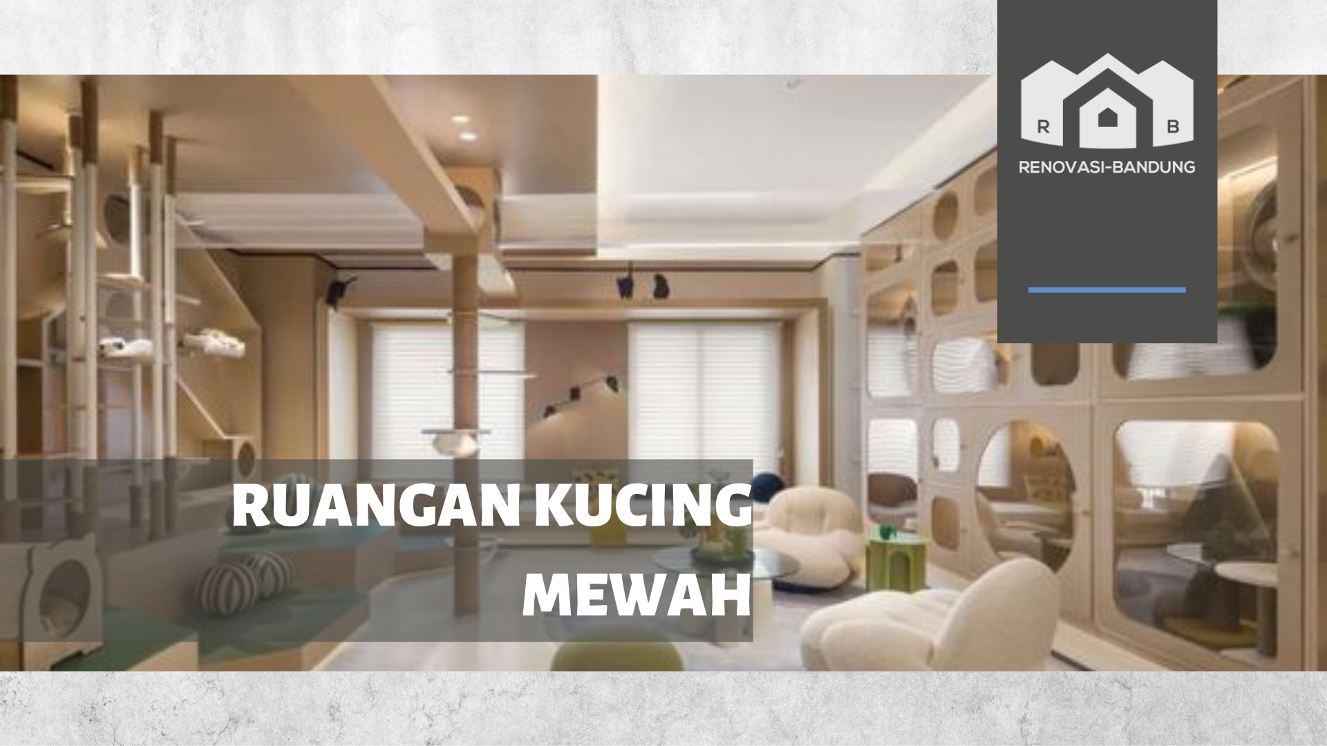 7 Inspirasi Desain Ruangan Kucing – Renovasi Bandung