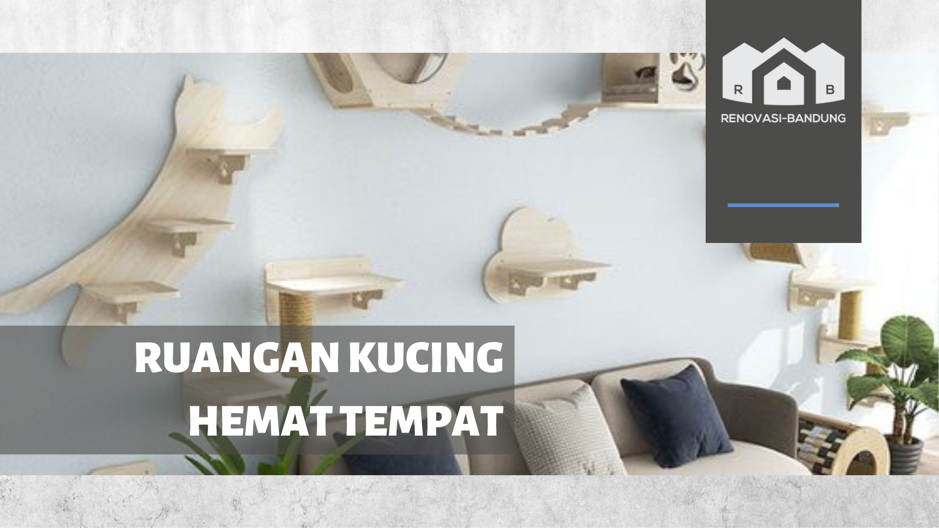 7 Inspirasi Desain Ruangan Kucing – Renovasi Bandung