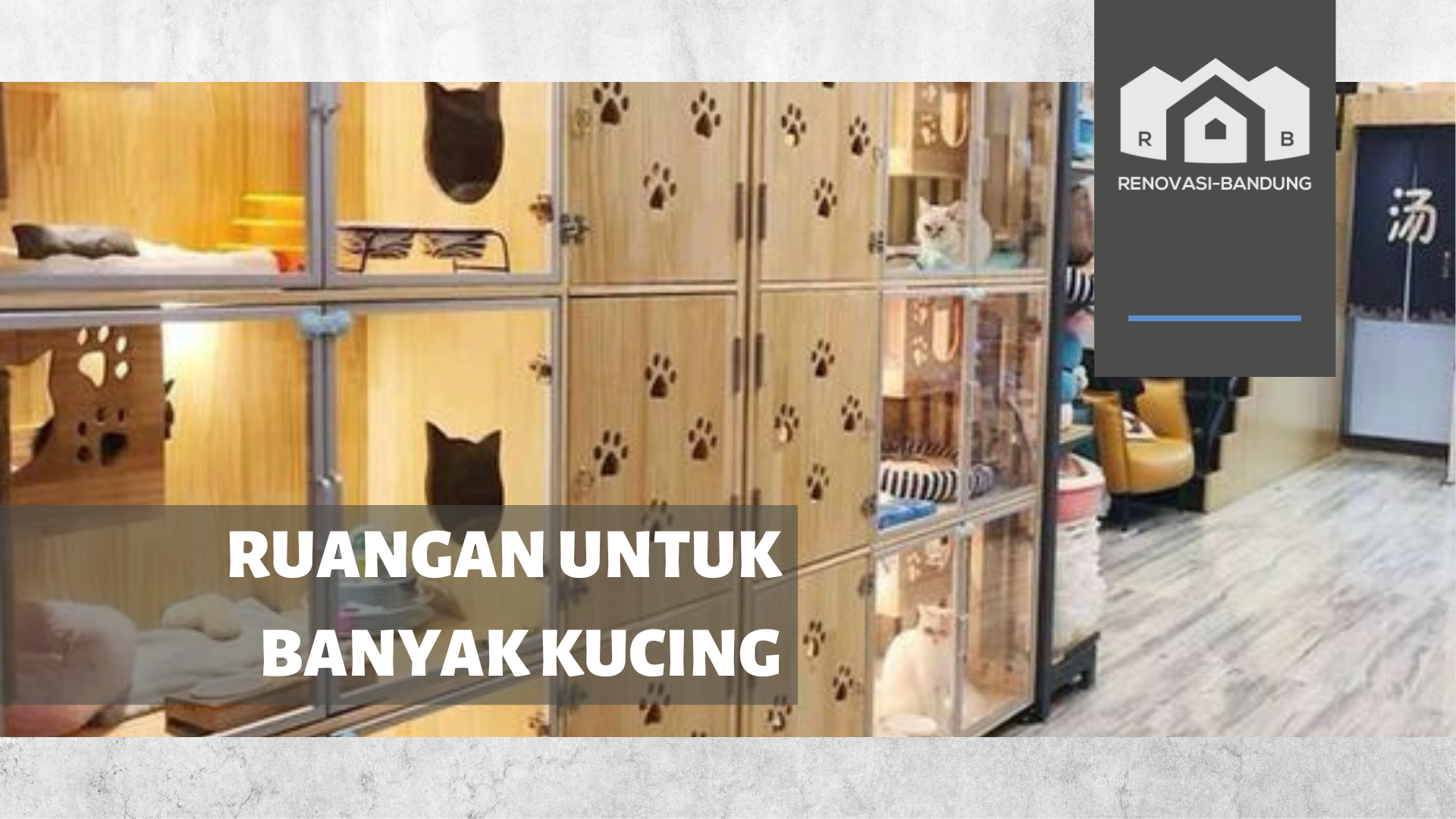 7 Inspirasi Desain Ruangan Kucing – Renovasi Bandung